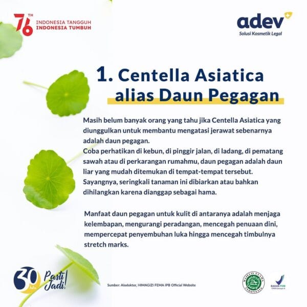 Ekstrak Pegagan / Centella Asiatica Extract dalam Kosmetik & Skincare ...