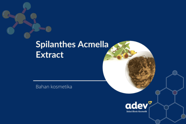 Spilanthes Acmella Extract dalam Kosmetik & Skincare - PT Adev